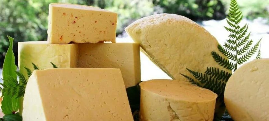 Yak Cheese: Love At First Bite! | Wonders of Yunnan Travel